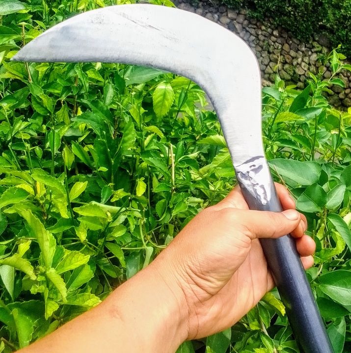 arit full tang arit khusus rumput bahan dari gergaji slendang | Lazada ...