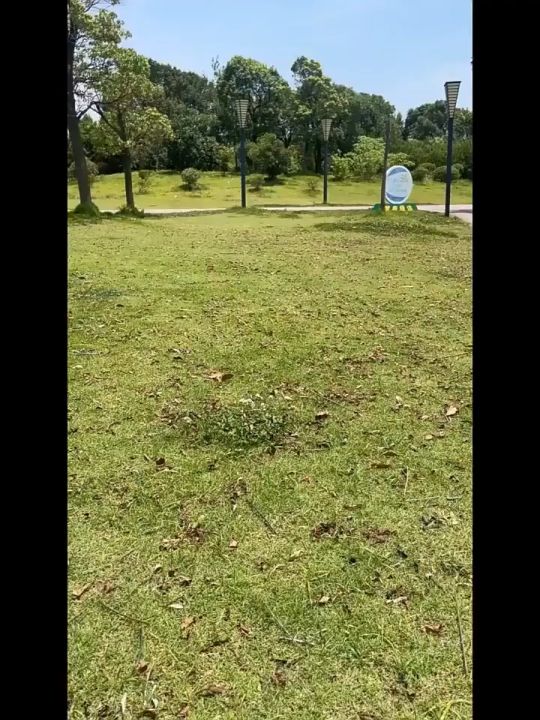 WONDER Solar panel 500W 150W 300W solar panel set board monocrystalline ...