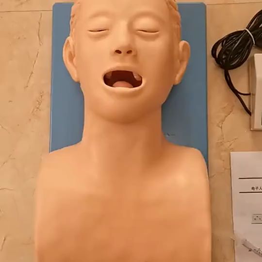 Student Tracheal intubation training model Endotracheal Tube Model ...