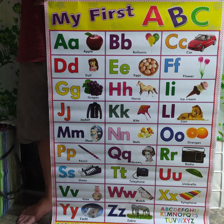 SUPER BIG SIZES Educational Plastic Wall Chart 26.5x38.5 inches or ...