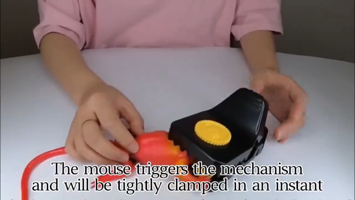 【BUY 1 TAKE 1】2PCS Mouse Rat Traps - High Sensitive Snap Big Plastic ...