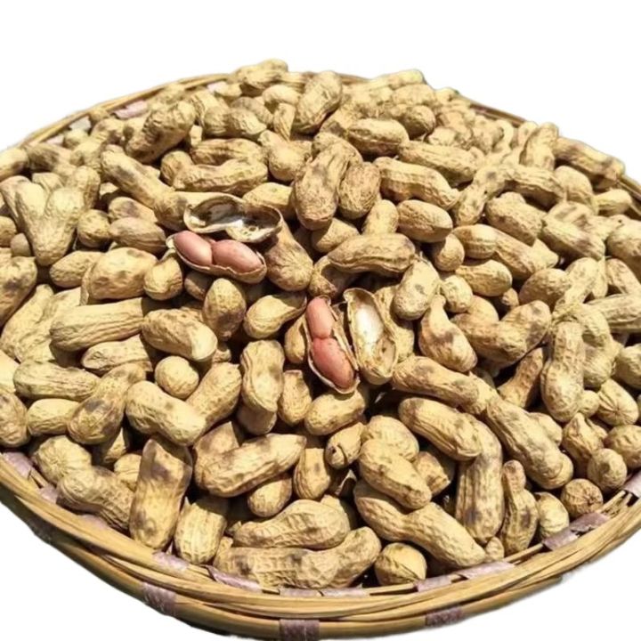Fried Peanut Original Flavor New Products Liancheng Specialty Iron Pot ...