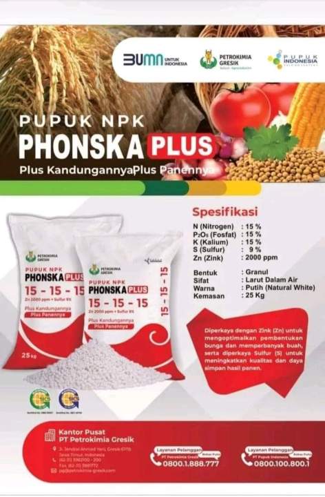 Pupuk Npk Phonska Plus 15-15-15 Original Petrokimia Gresik Kemasan pabrik 25 kg | Lazada Indonesia