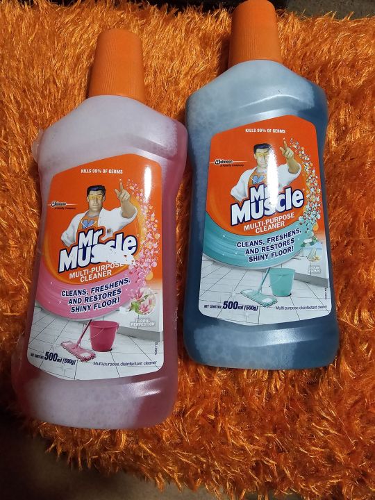 MR MUSCLE MULTI PURPOSE CLEANER 500ML | Lazada PH