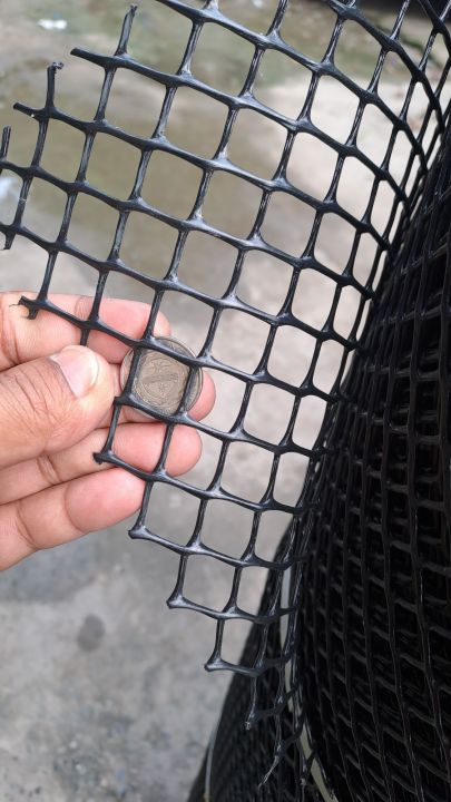 Plastic Screen Net Chicken Net Black 1/2 x4ft height | Lazada PH