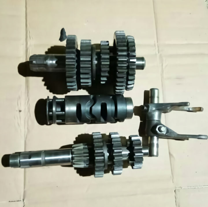 gigi rasio alfa sigma champ force 1 fiz r original | Lazada Indonesia