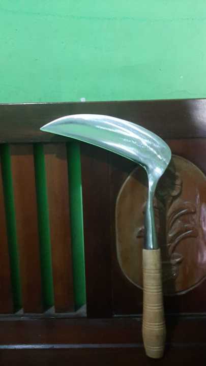 Arit Rumput Baja Putih | Lazada Indonesia