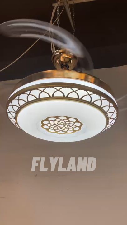 Flyland Clover Modern Ceiling Fan Fold Out with LED Lights and ...