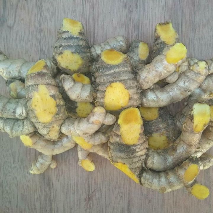 Temu Giring Segar (1 Kg) | Lazada Indonesia