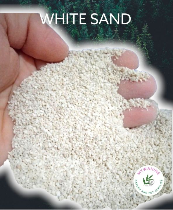 SAND WHITE SAND AQUARIUM TERRARIUM FISH TANK AQUA SCAPE SUBSTRATE ...