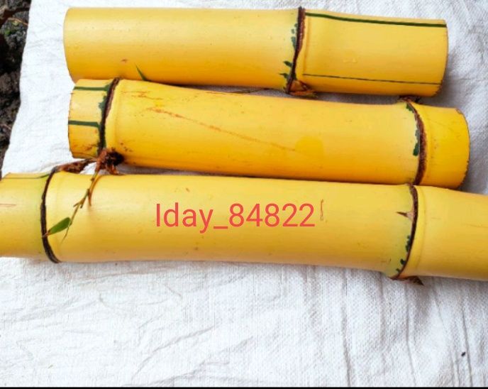 bambu kuning besar potongan 50,40 30 20 10 cm bambu kuning bambu hiasan ...