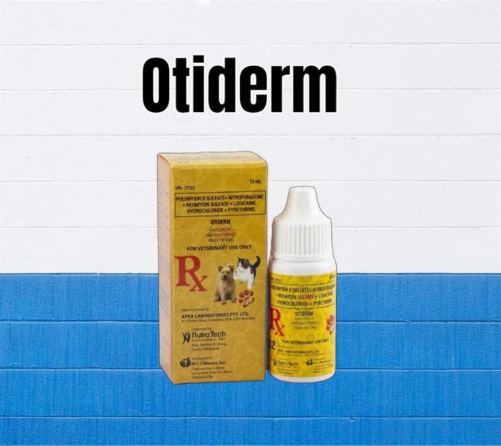 Otiderm Eardrops For Dogs 15ml | Lazada PH