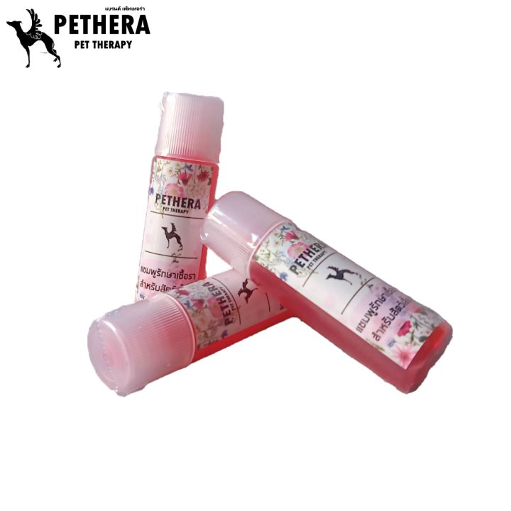 pathera 15 กรัม แชมพูดูแลผิวหนัง | Lazada.co.th