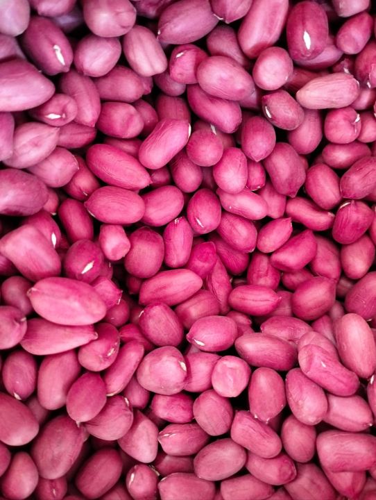 native red peanut 500grams | Lazada PH