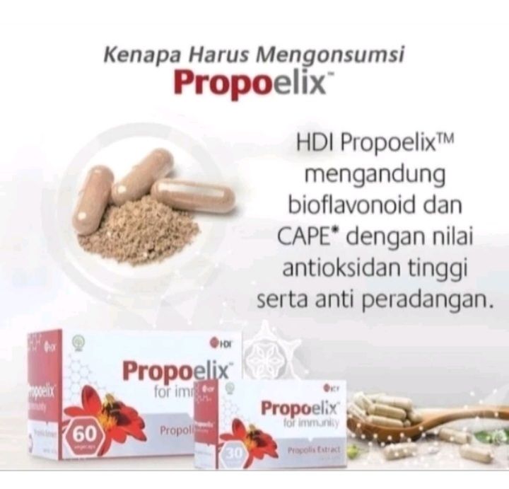 propoelix for immunity 60 kapsul ori exp 2025 april | Lazada Indonesia