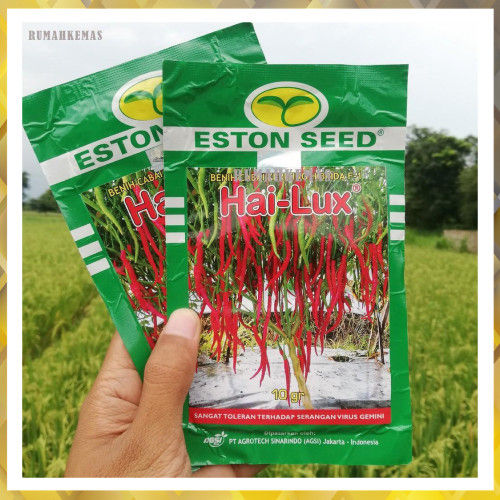 benih cabe kriting hibrida Hai Lux cabe besar cabe merah Hai Lux ...