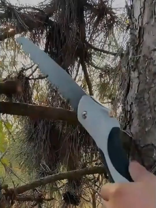 Single Hook Saw High Branch Saw Garden Hand Saw Waist Saw Fruit Tree ...