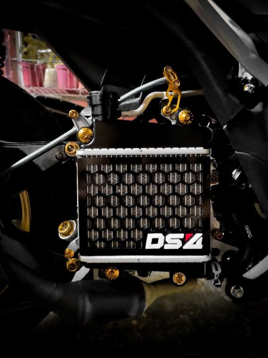DS4 RADIATOR COVER FOR CLICK NMAX AEROX MXI ADV PCX | Lazada PH