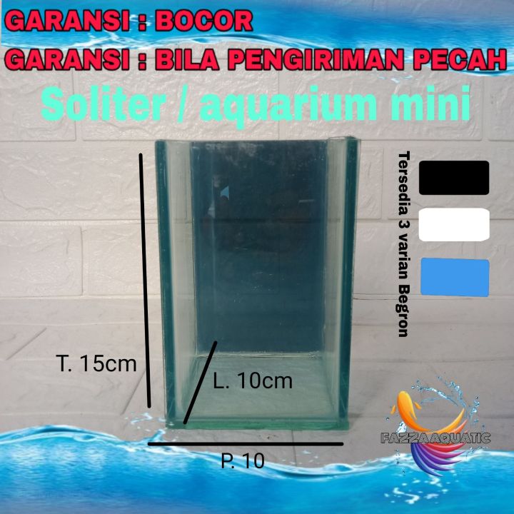 soliter cupang aquarium cupang ukuran 10x10x15 ukuran kaca 5mm | Lazada ...