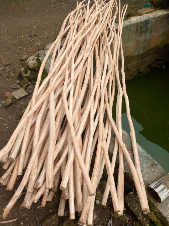 Ranting kayu jati panjang 2,5 meter isi 10 batang | Lazada Indonesia