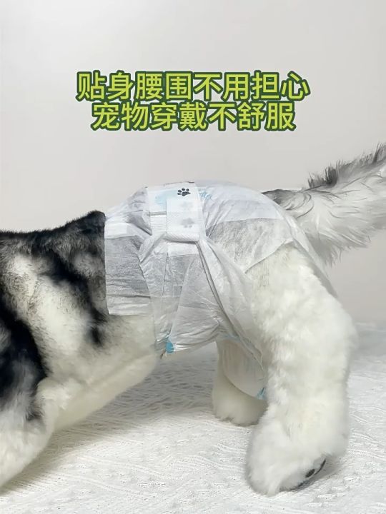 10/12pcs Pet Dog Cats Diaper Male Female Dog Puppy Kitten Diaper Belly ...