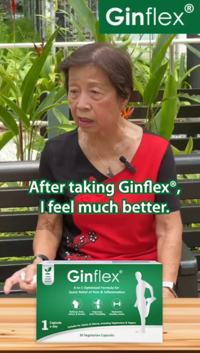 【Ship in 24h】EXP2028 Ginflex Joint Pain Quick Relief Plant Based Health ...