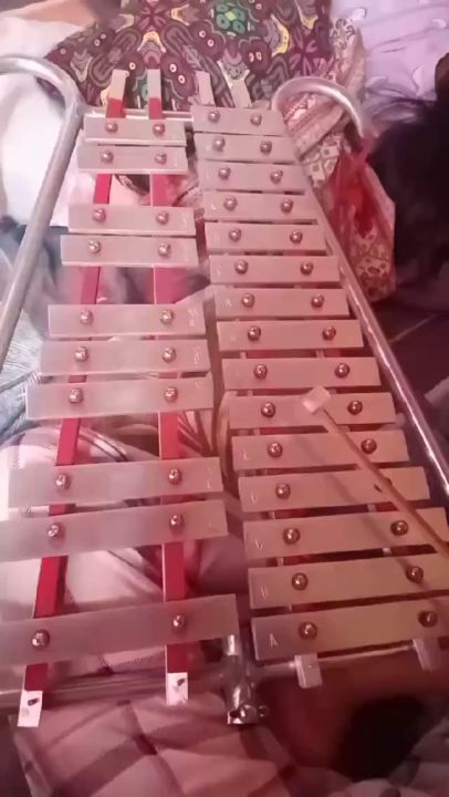 Original Lyre Xylophone Compact and Complete with Bag, Beater, and ...