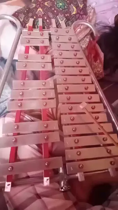 Davis Lyre Xylophone With Bag, Lyre beater and Strap (Medium, Small ...