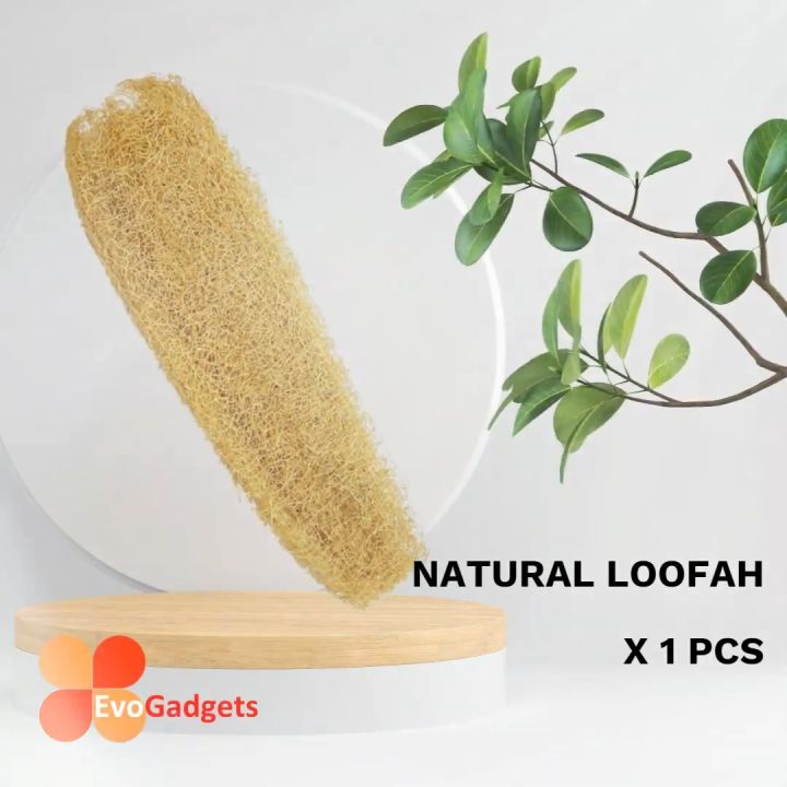 Natural Luffa / Loofah - Skin care / Cleaning and exfoliating skin ...