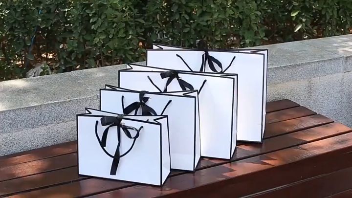 1Pc White Paper Bag W/ Black Border Gift Craft Paper Gift Plain Rope ...