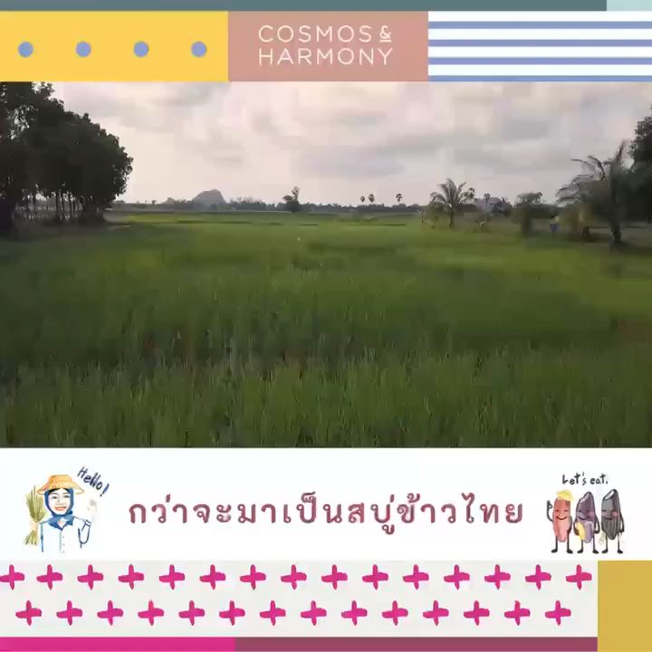 Cosmos & Harmony (50G X 4) คอสมอส แอนด์ ฮาร์โมนี่ ข้าวไทยไรซ์ โซพ Khao Thai Rice Soap Set (50G X ...