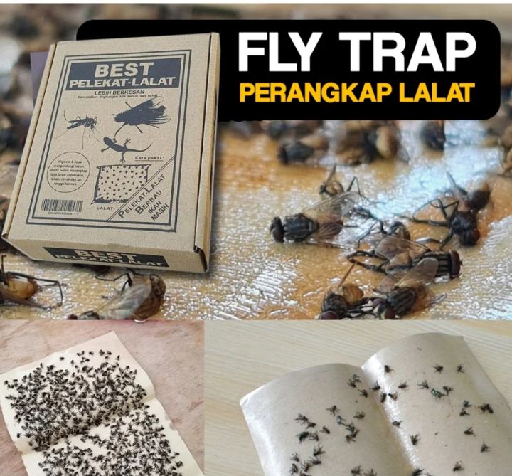 10pcs BEST FLY GLUE PAPER/pelekat lalat | Lazada