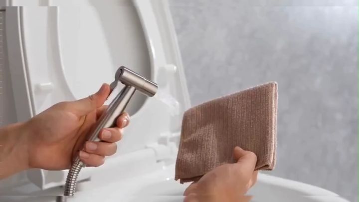 WJT Bidet Spray Complete Set Toilet 304 Stainless with Valve ...