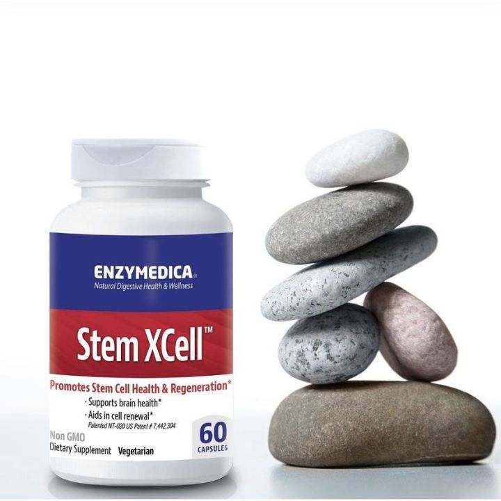 [พร้อมส่ง] สเต็มเซลล์ Enzymedica, Stem XCell, 60 Capsules | Lazada.co.th