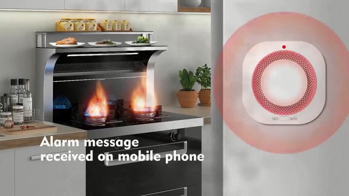 DayTech Wireless Smoke Detector 433MHz Fire Alarm Sensor Protection ...