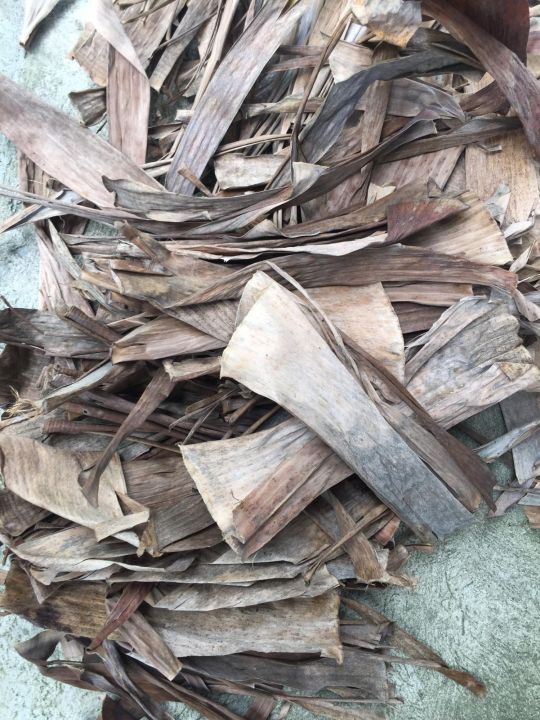 dried banana leaves tuyong dahon ng saging 40 pesos (250 grams) | Lazada PH