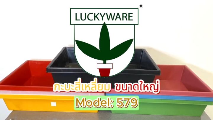 Luckyware กระบะพลาสติกสี่เหลี่ยมขนาดใหญ่ รุ่น 579หวาน สีพาสเทล | Lazada.co.th