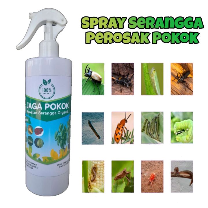 Spray Pokok / Racun Serangga Pokok / Spray Serangga | Lazada