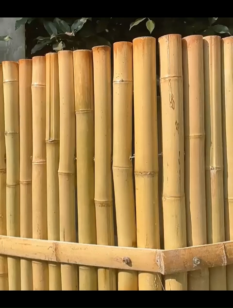 Bamboo Fence / Bamboo Divider / Bamboo Partition / Garden Fence ...