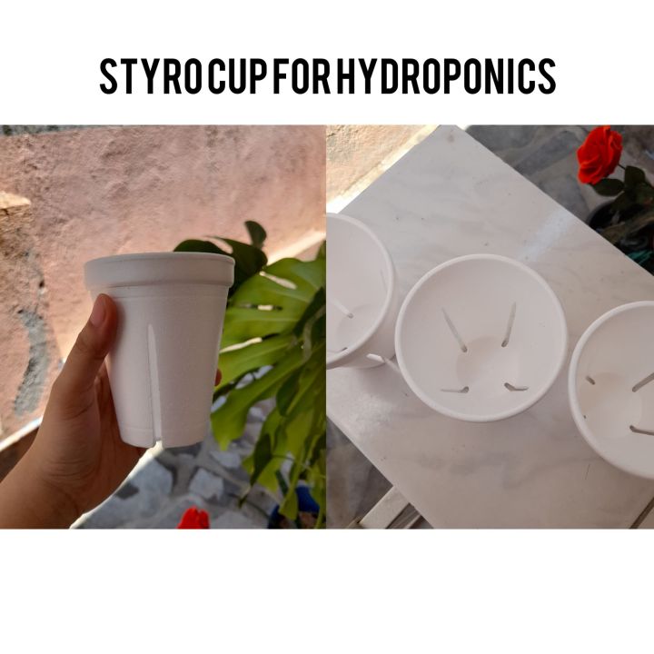 25pcs 8oz STYRO CUPS FOR HYDROPONICS W/ SLIT | Lazada PH