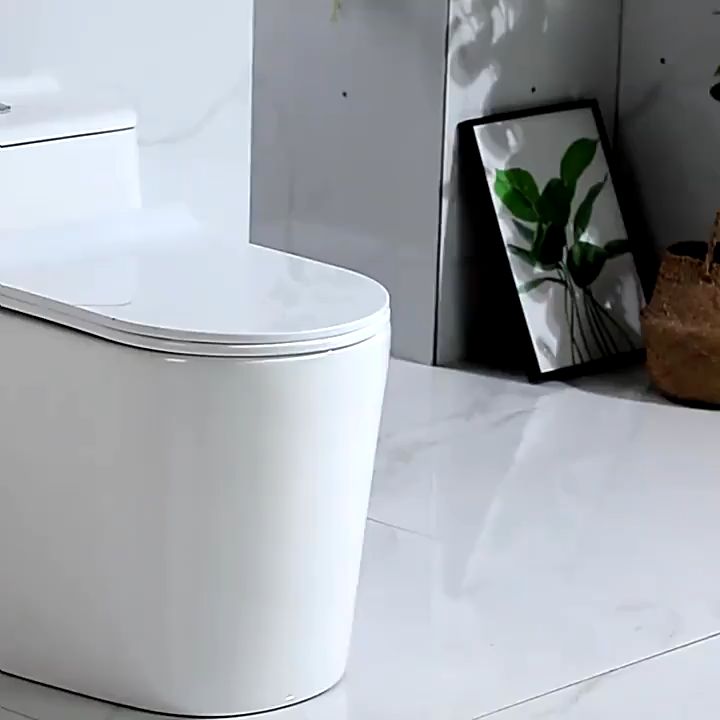Pelise Toilet Bowl Ceramic Water Saving Water Closet Inidoro with Flush ...