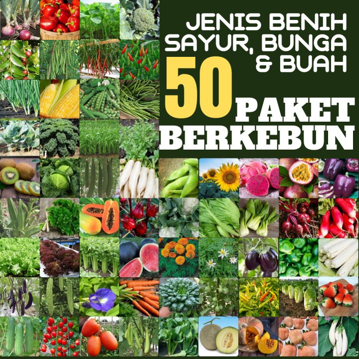 paket 50 jenis benih bibit biji sayur bunga dan juga buah | Lazada ...