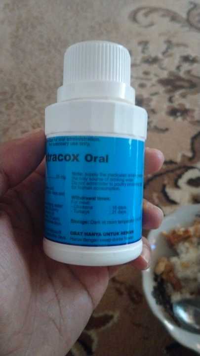 intracol oral 100ml obat ayam pedaging | Lazada Indonesia