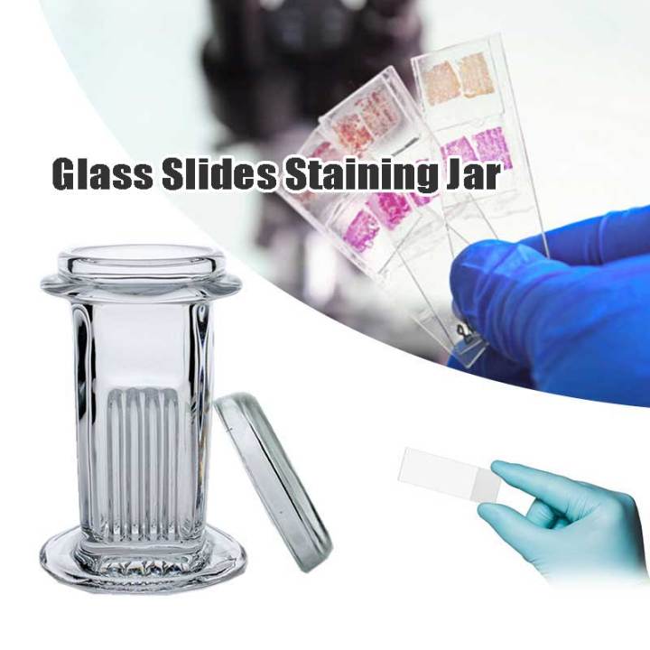 Coplin Staining Slide Jar 5 Pieces Staining Slide Jar | Lazada PH