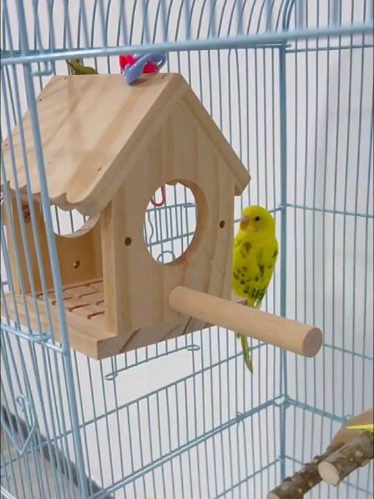 Open-Sided Wooden Parrot Hut | Large & Small Sizes | Ideal for Budgies ...