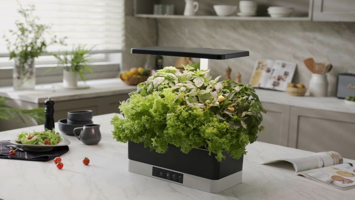 Aerospring Table Top Hydroponic Garden System | Lazada Singapore