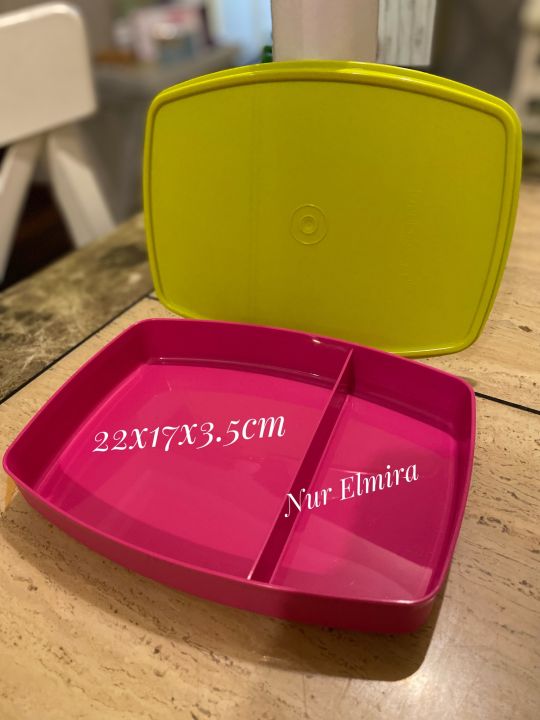 Tupperware lunch box size 22x17x3cm(1 pcs) | Lazada