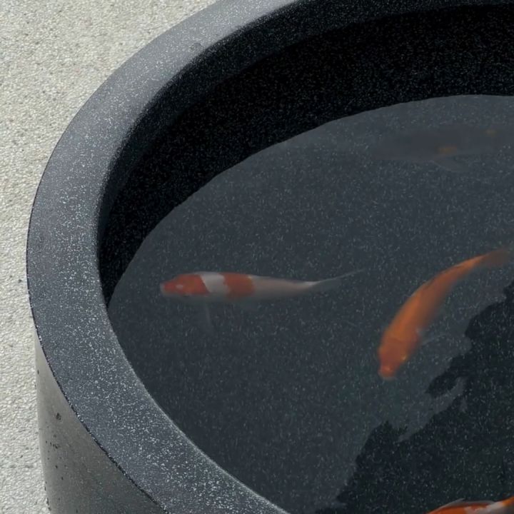 Large Fish pond / Water Plant Pot/ Lotus Pond อ่างปลา /อ่างบัว ขนาดใหญ่ ...