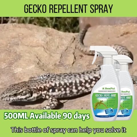 BenPai [10 years without a gecko] lizard killer spray gecko killer ...