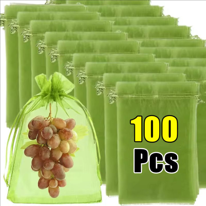 100pcs Fruit Protection Netting Bags / Fruit Insect Proof Drawstring ...